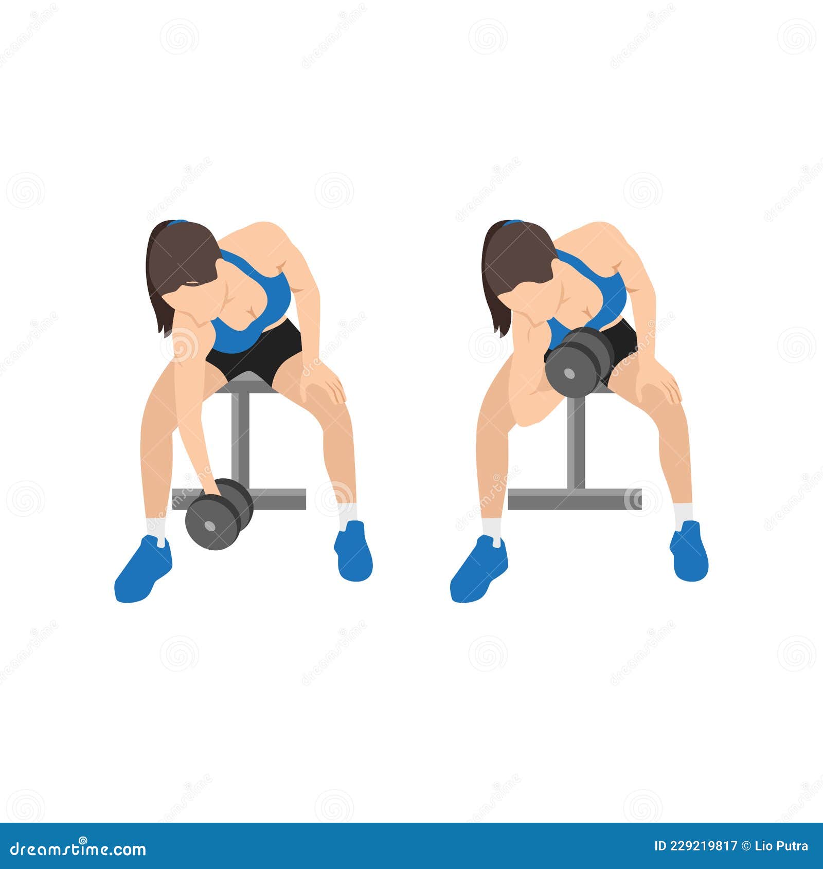Woman Doing Seated Dumbbell Concentration Curls Exercise Cartoon Vector ...