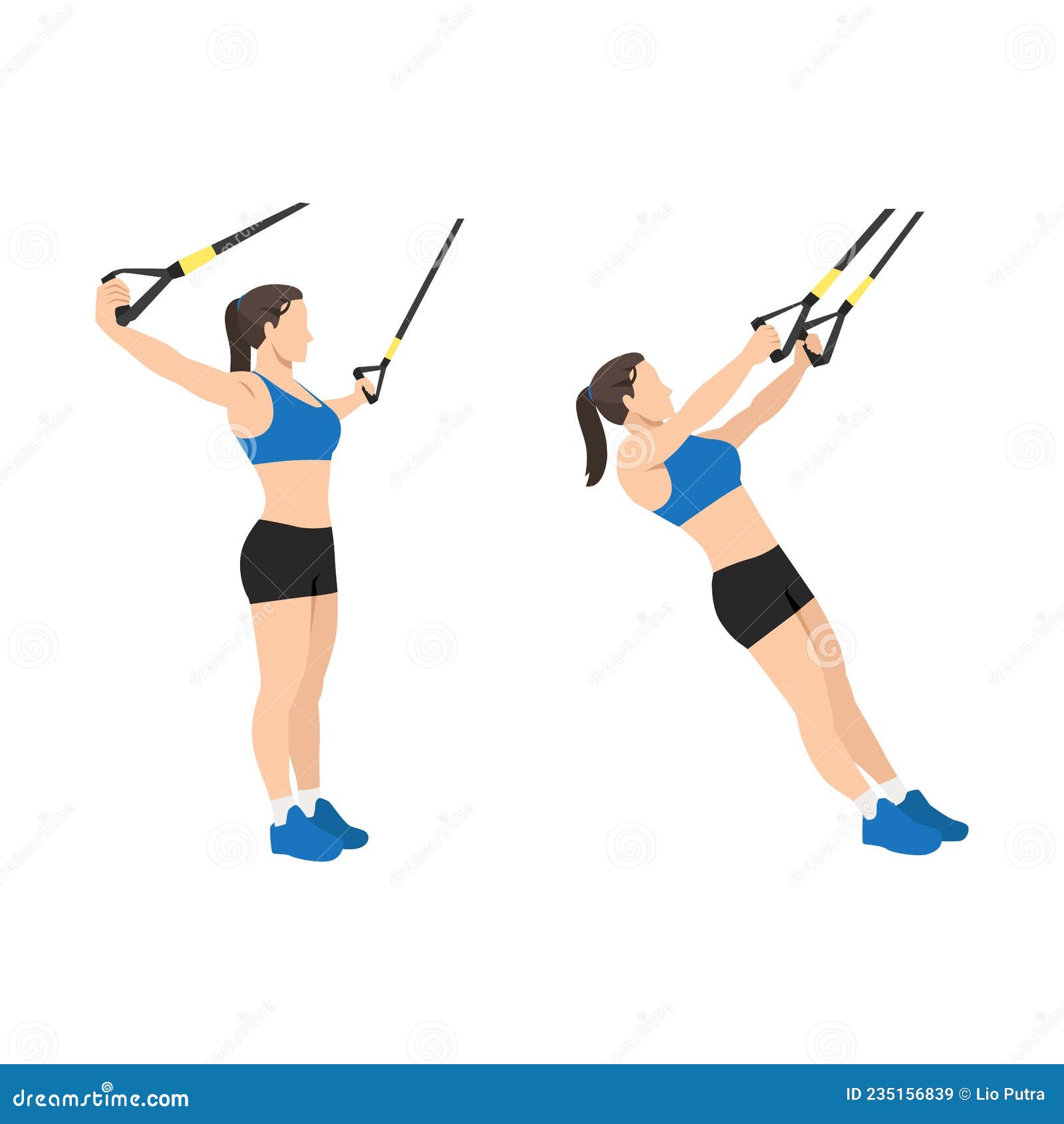 Woman Doing TRX Suspension Strap T Flyes Exercise. Stock Vector ...