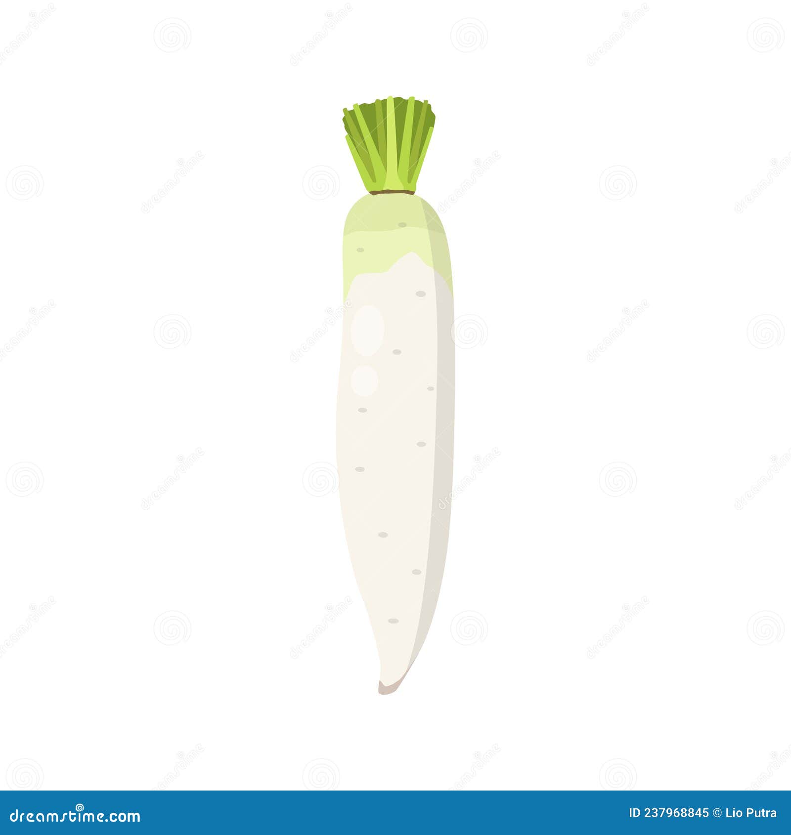 Flat Vector of Daikon Radish Isolated on White Stock Illustration - Illustration of organic ...