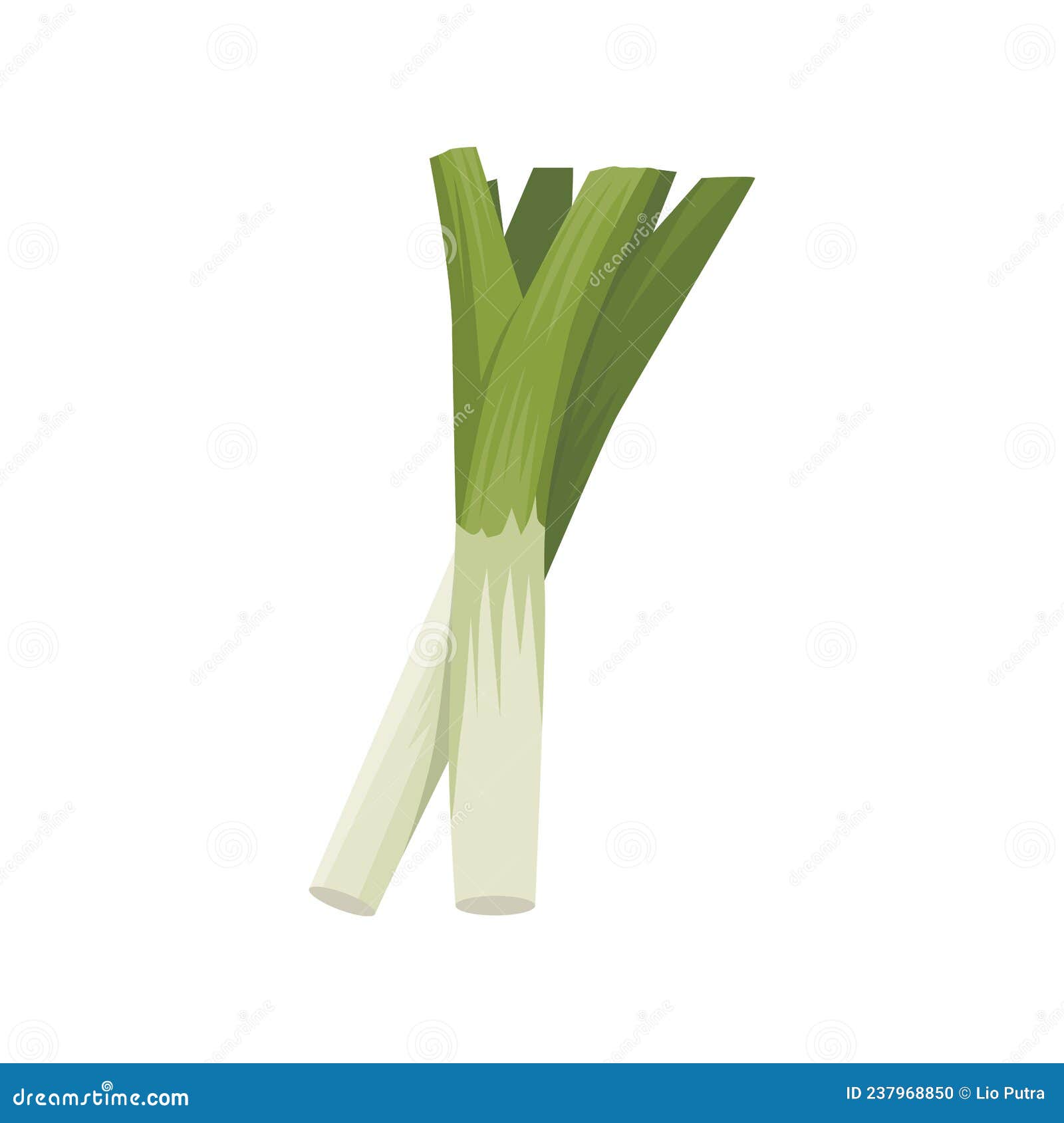 Flat Vector of Leeks Isolated on White Background. Stock Illustration ...