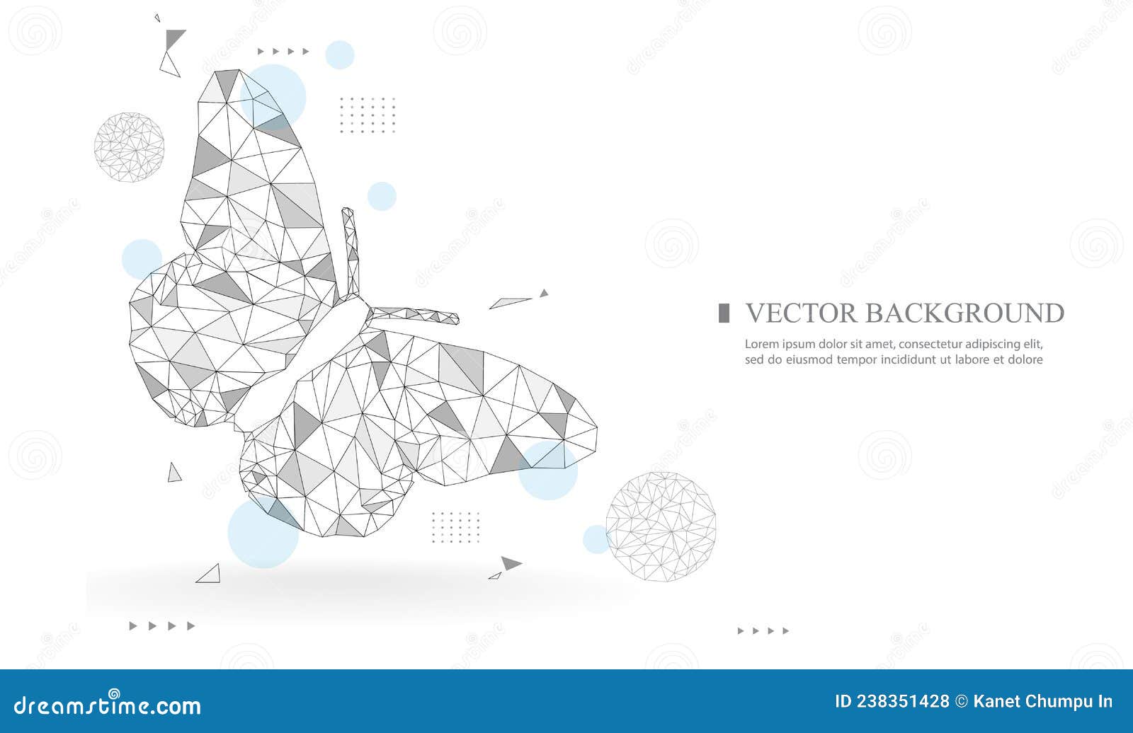 Vector Abstract Butterfly Polygon Shape.white Vector Background Stock ...