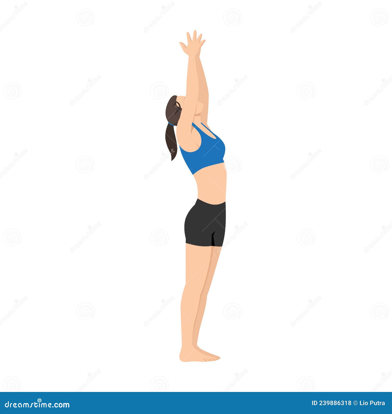 Woman Doing Upward Salute Pose Urdhva Hastasana Exercise Stock Vector ...