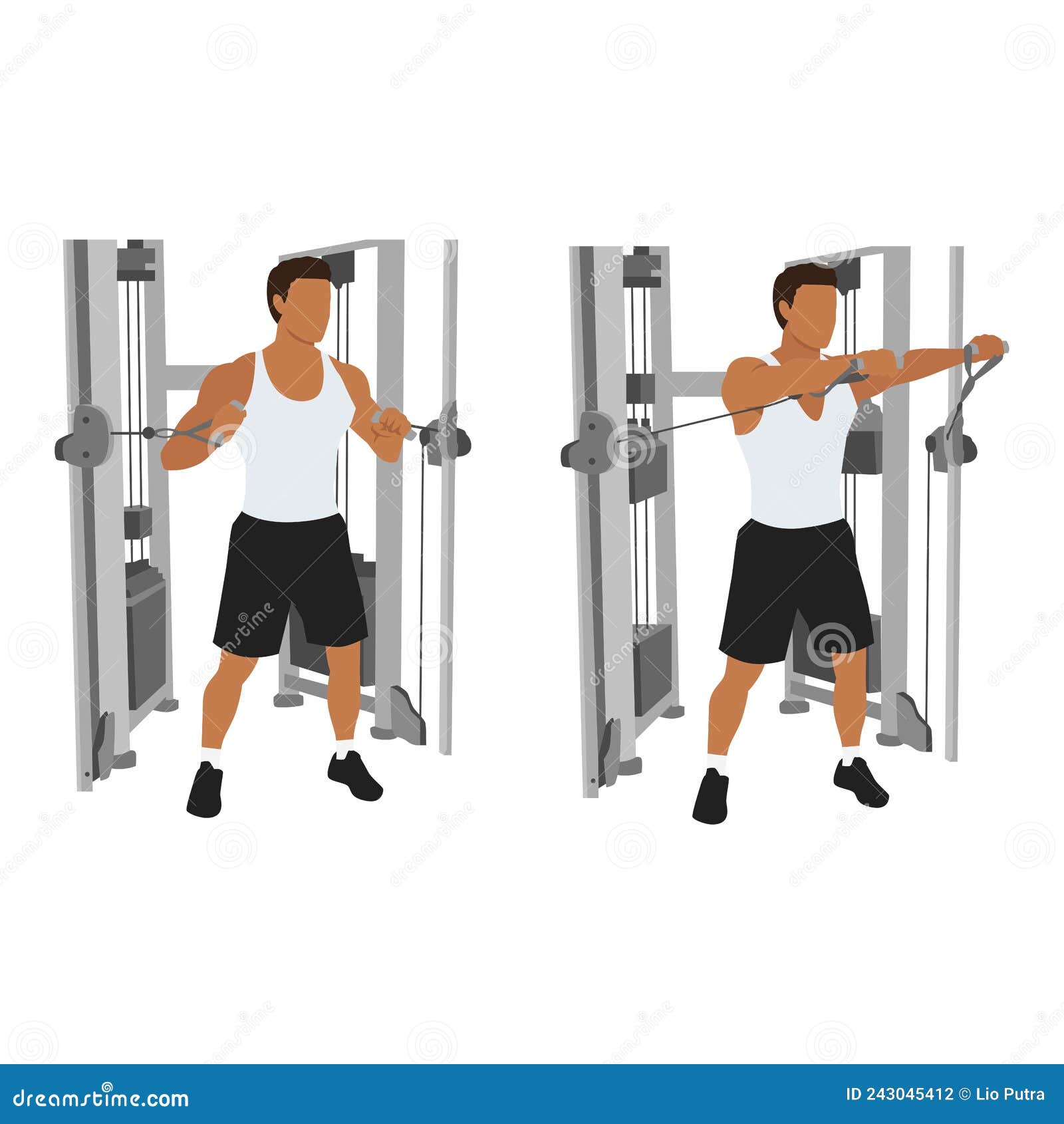 Chest Cable Expanders Gym Cartoon Vector | CartoonDealer.com #90084261