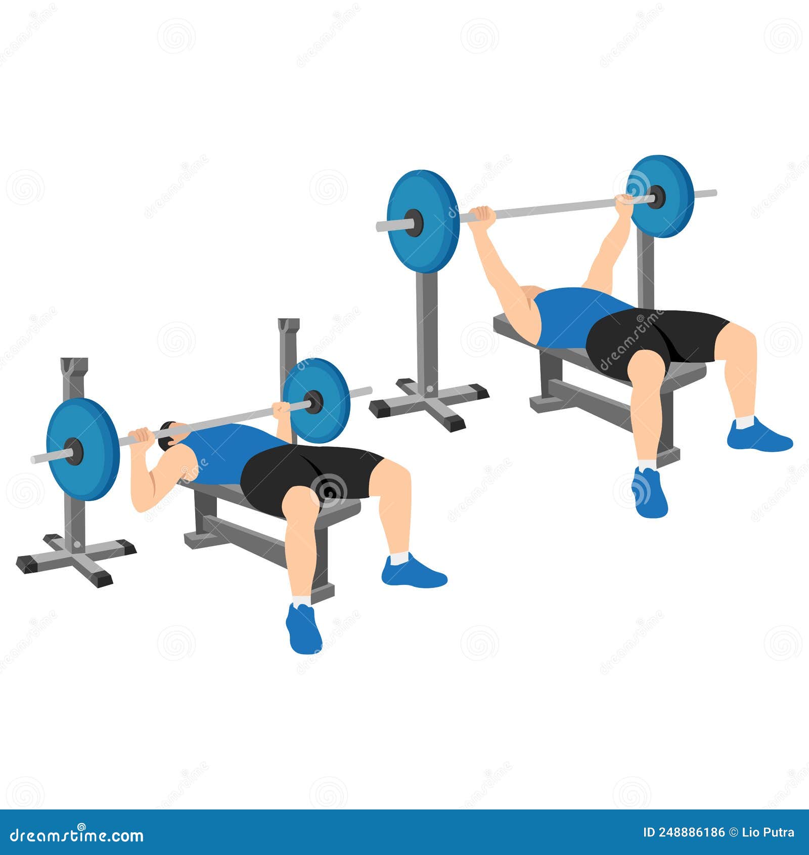 Man Doing Barbell Bench Press. Chest Press Stock Vector - Illustration ...