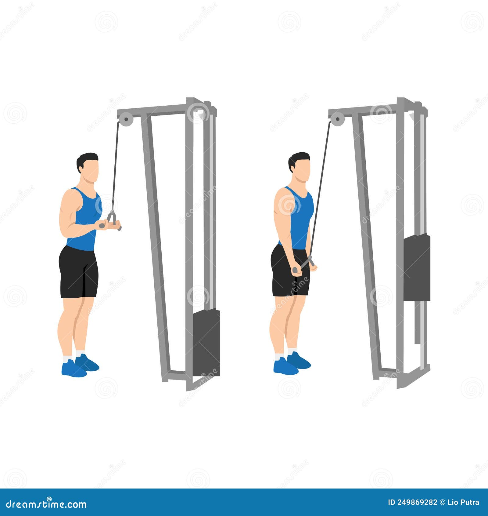 Man Doing Reverse Grip Cable Triceps Extension Exercise Stock Vector ...