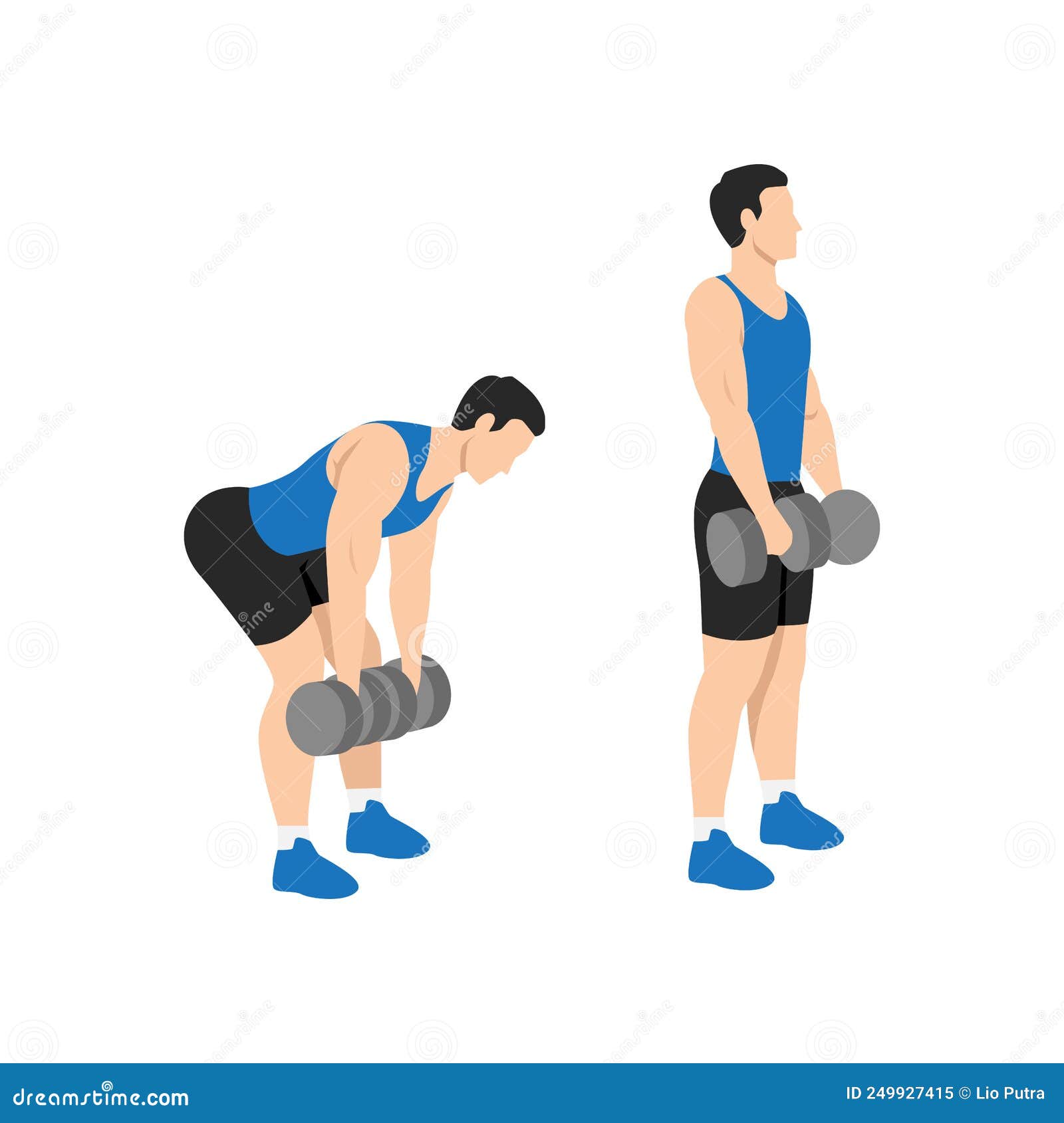 Dumbbell Straight Leg Deadlift Dumbbell Straight Leg Deadlift