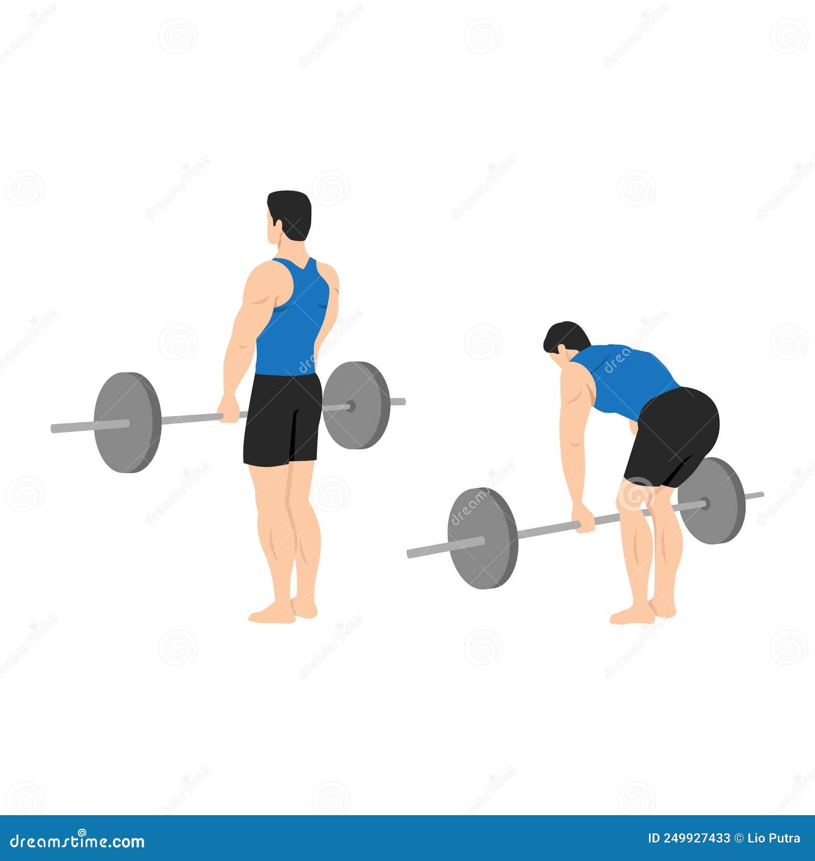 Man Doing Barbell Stiff Leg Deadlift Exercise. Stock Vector ...