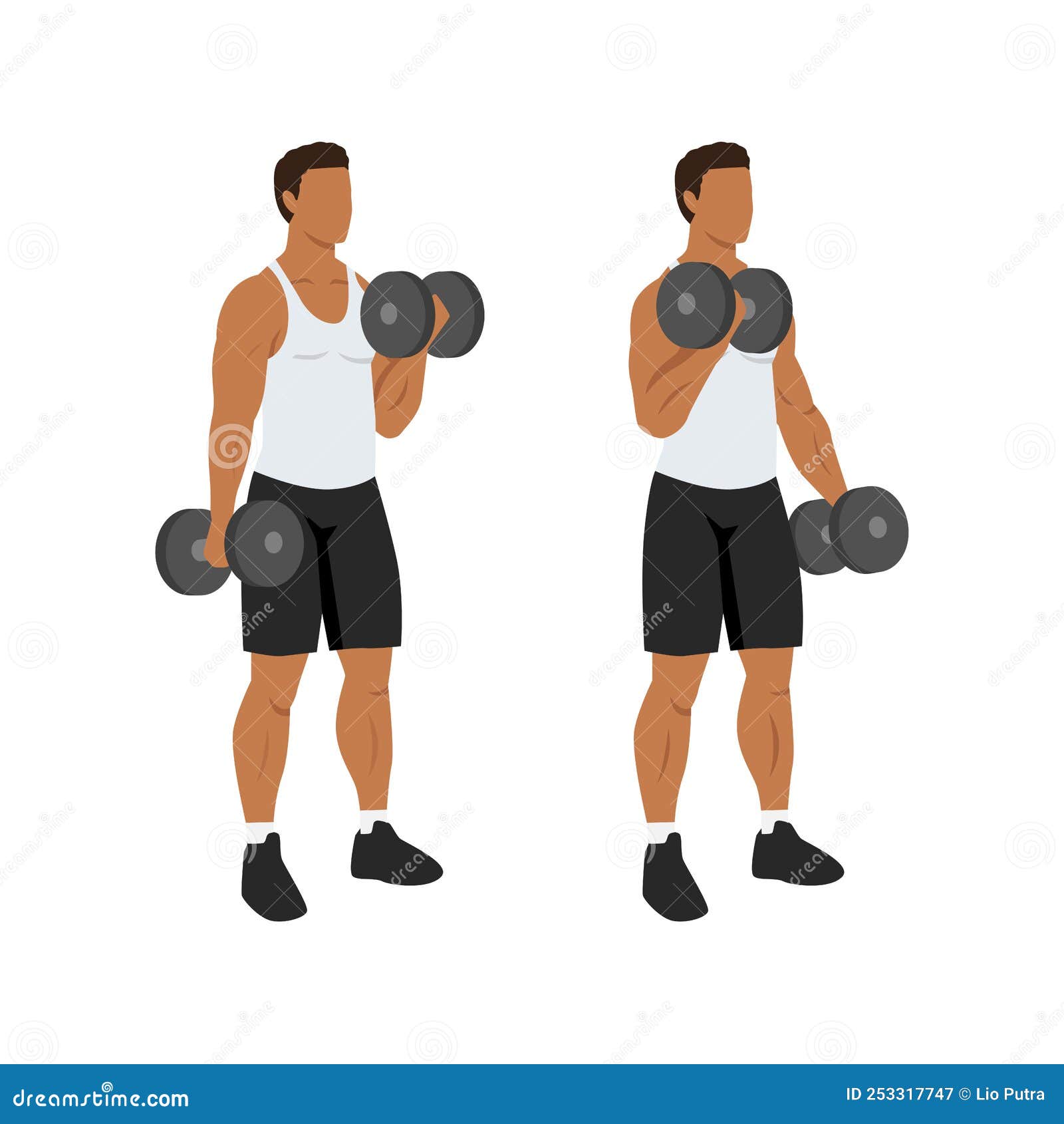 Man Doing Alternating Dumbbell Curl. Stock Illustration - Illustration ...