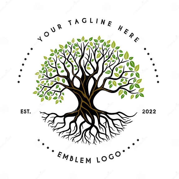 Vector Vintage Tree Root Logo Design. Concept, Big Tree with Roots ...