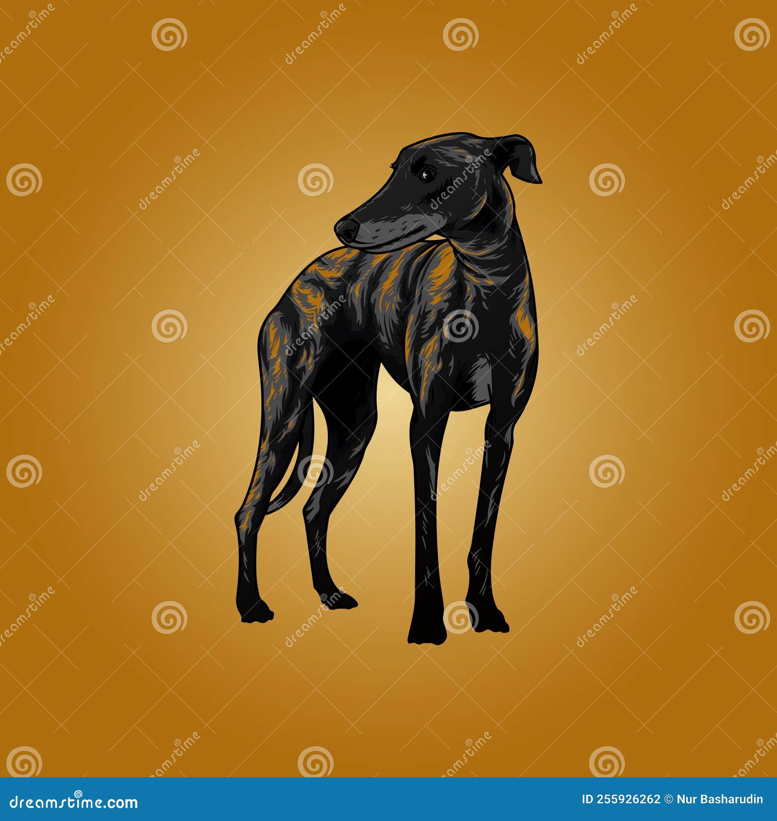 Greyhound Dog Illustration with Freehand Style Stock Illustration ...