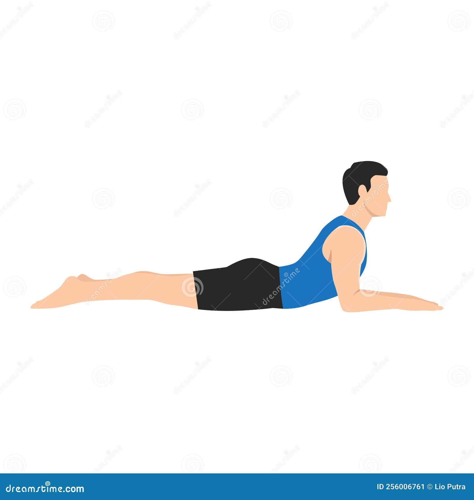 Sphinx Pose And Sport Activity, Yoga Position, Woman Lies On Floor ...