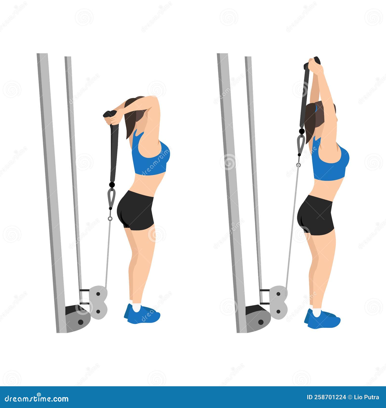 Woman Doing Cable Rope Overhead Triceps Extensions Flat Vector Stock ...