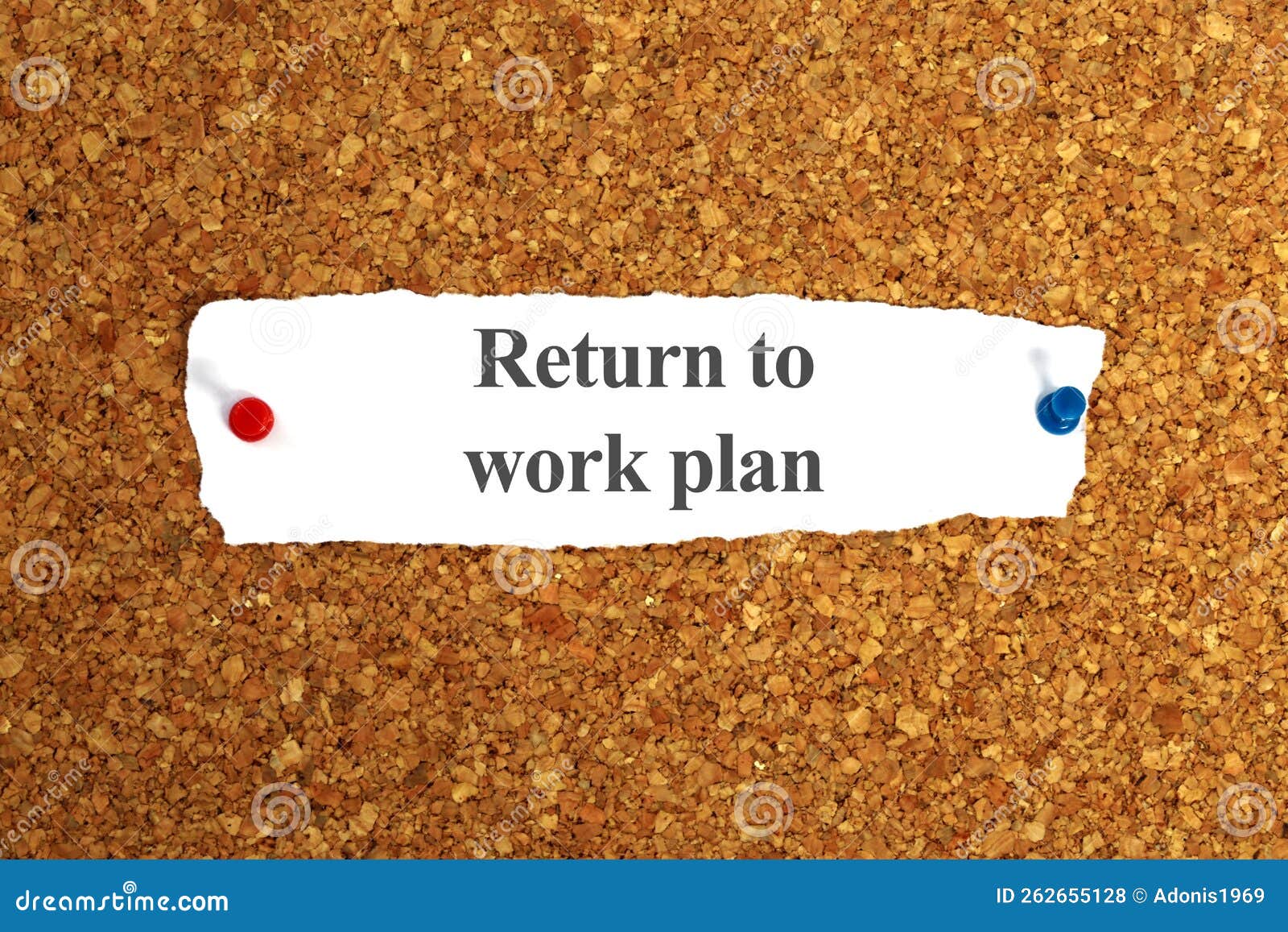 Work Plan Icon Set. Premium Symbol In Different Styles From ...