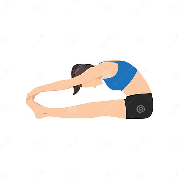 Woman Doing Seated Toe Touch Stretch Exercise. Flat Vector Stock Vector ...