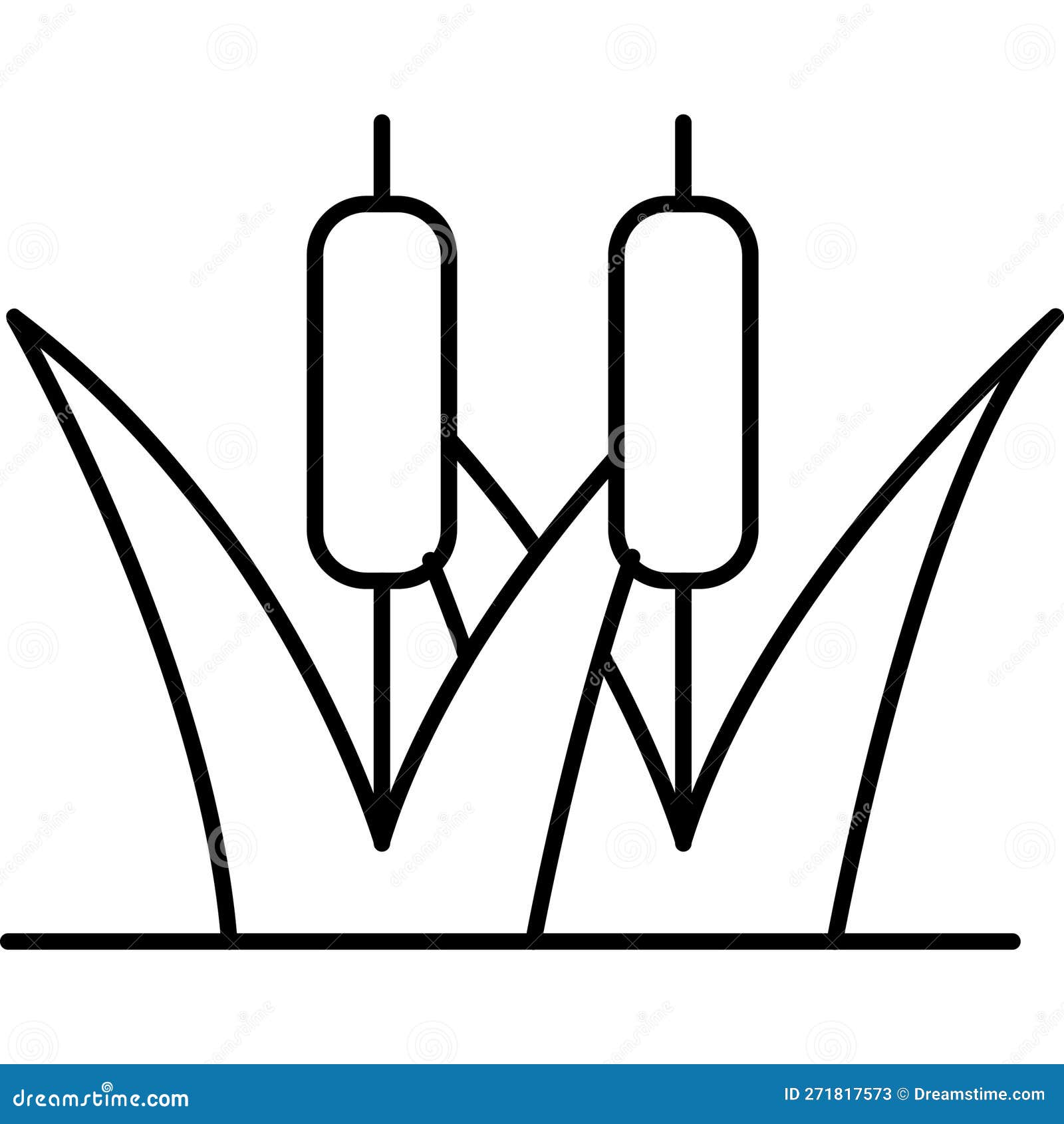 Reeds Which Can Easily Edit or Modify Stock Vector - Illustration of ...