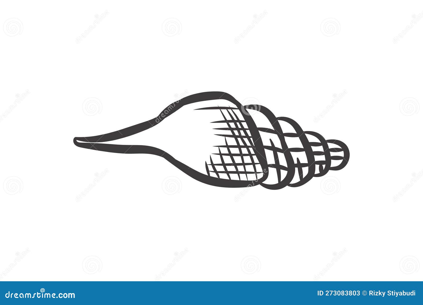 Conch Shell Illustration on Black and White Colors Stock Vector ...