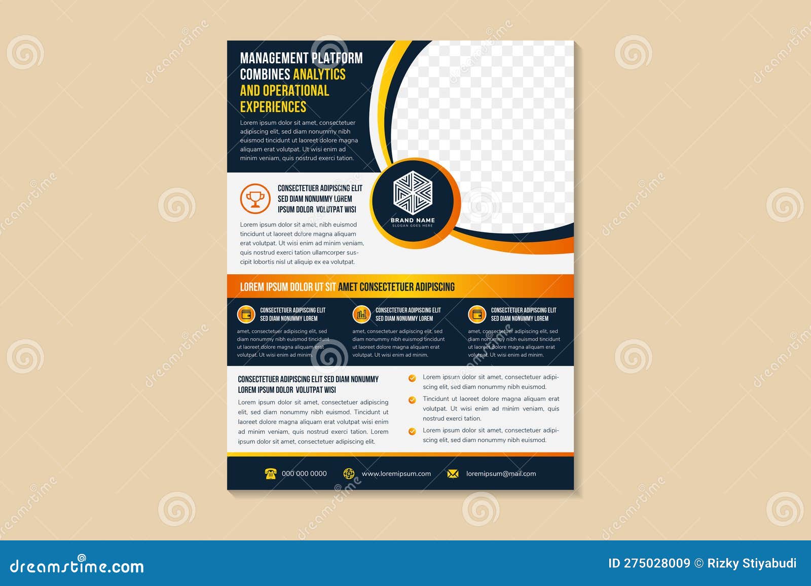 Flyer Template Design for Management Platform Services Stock Vector ...