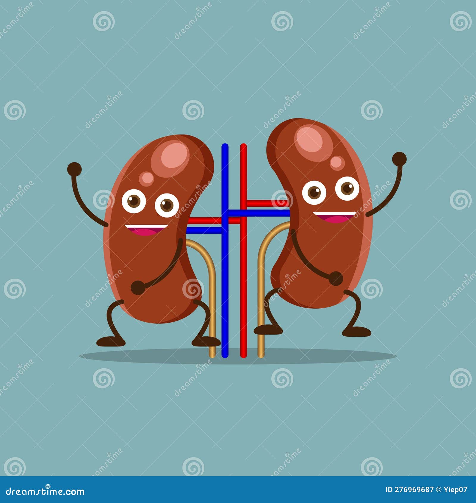 Kidneys Cartoon Icon. Urinary Organ. Internal Anatomy | CartoonDealer ...