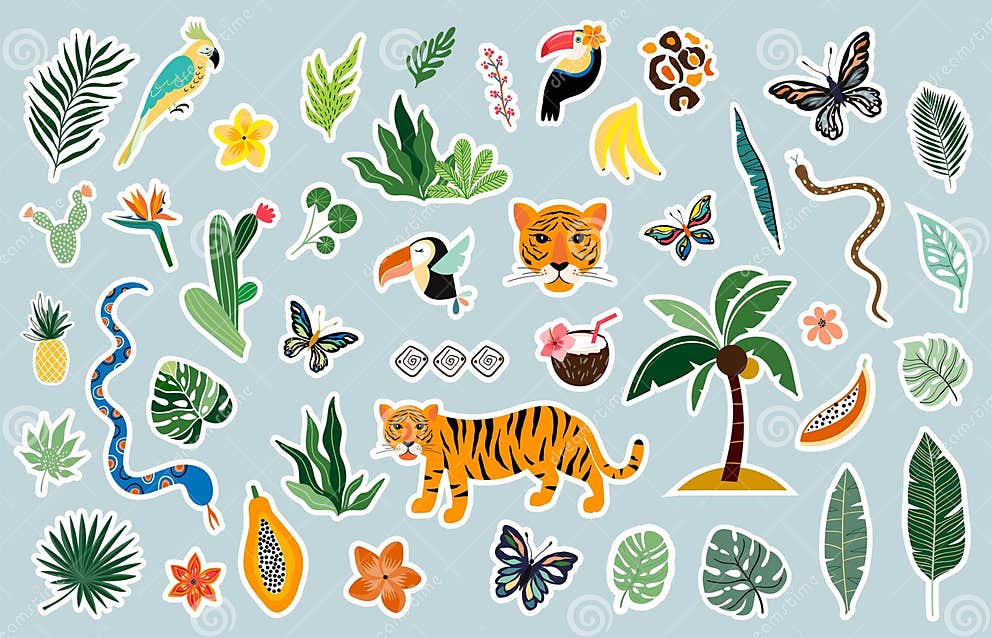Summer Tropical Stickers Collection, Different Exotic Elements, Vector ...
