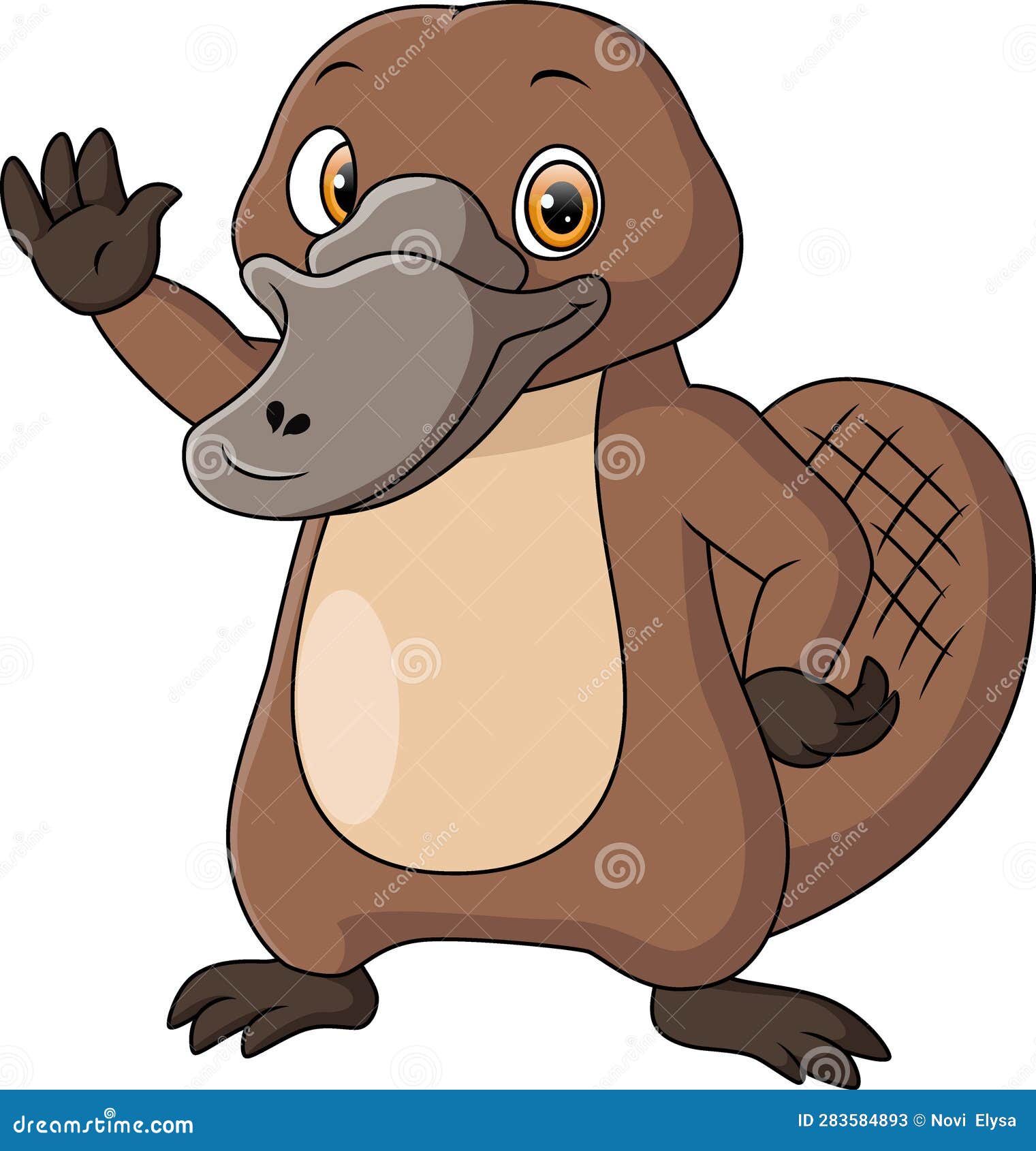 Cute Platypus Illustration | CartoonDealer.com #142045194