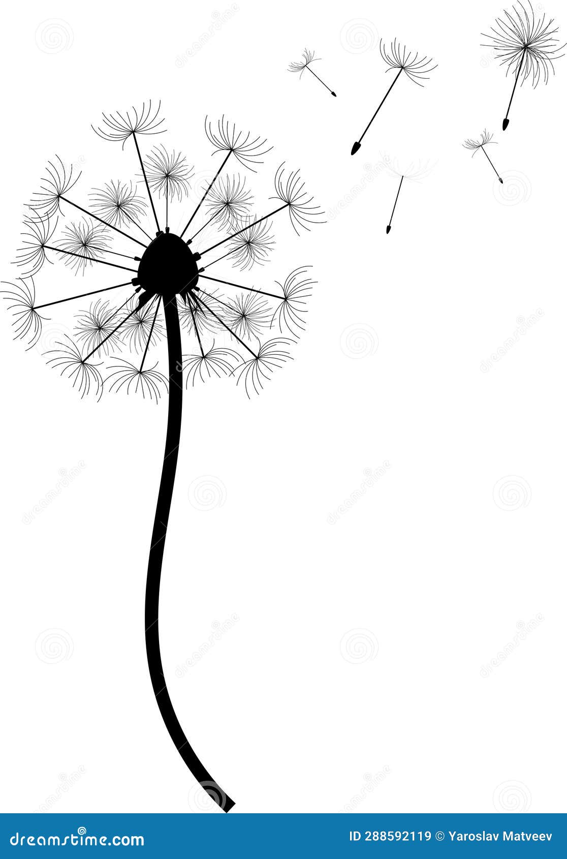 Dandelion with Flying Seeds. Vector Stock Vector - Illustration of twig ...