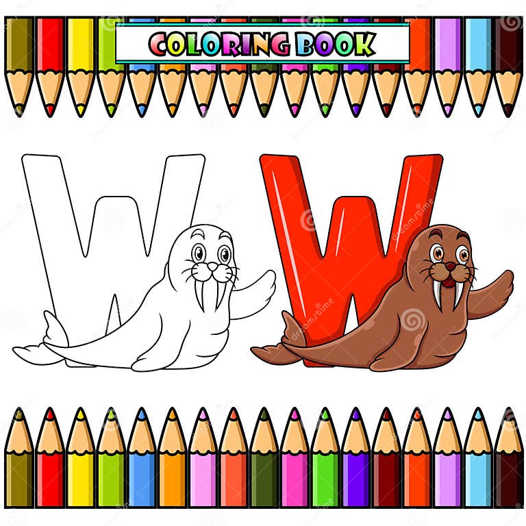 Coloring Book, Illustration of W Letter for Walrus Stock Illustration ...