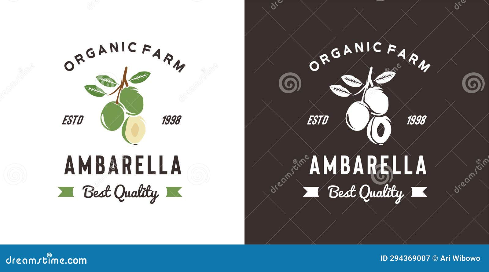 Ambarella Logo Stock Illustrations – 12 Ambarella Logo Stock ...