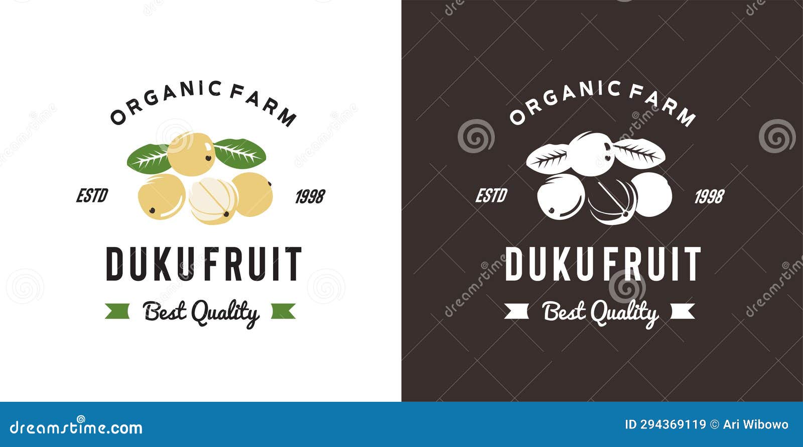 Vintage Duku Fruit Logo Illustration Suitable for Fruit Shop and Fruit ...
