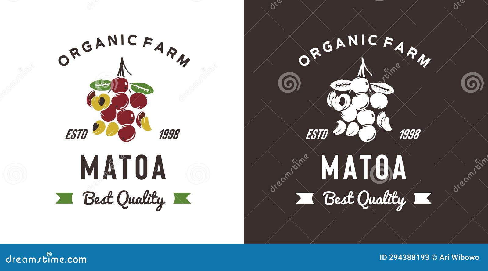 Vintage Matoa Fruit Logo Illustration Suitable for Fruit Shop and Fruit ...