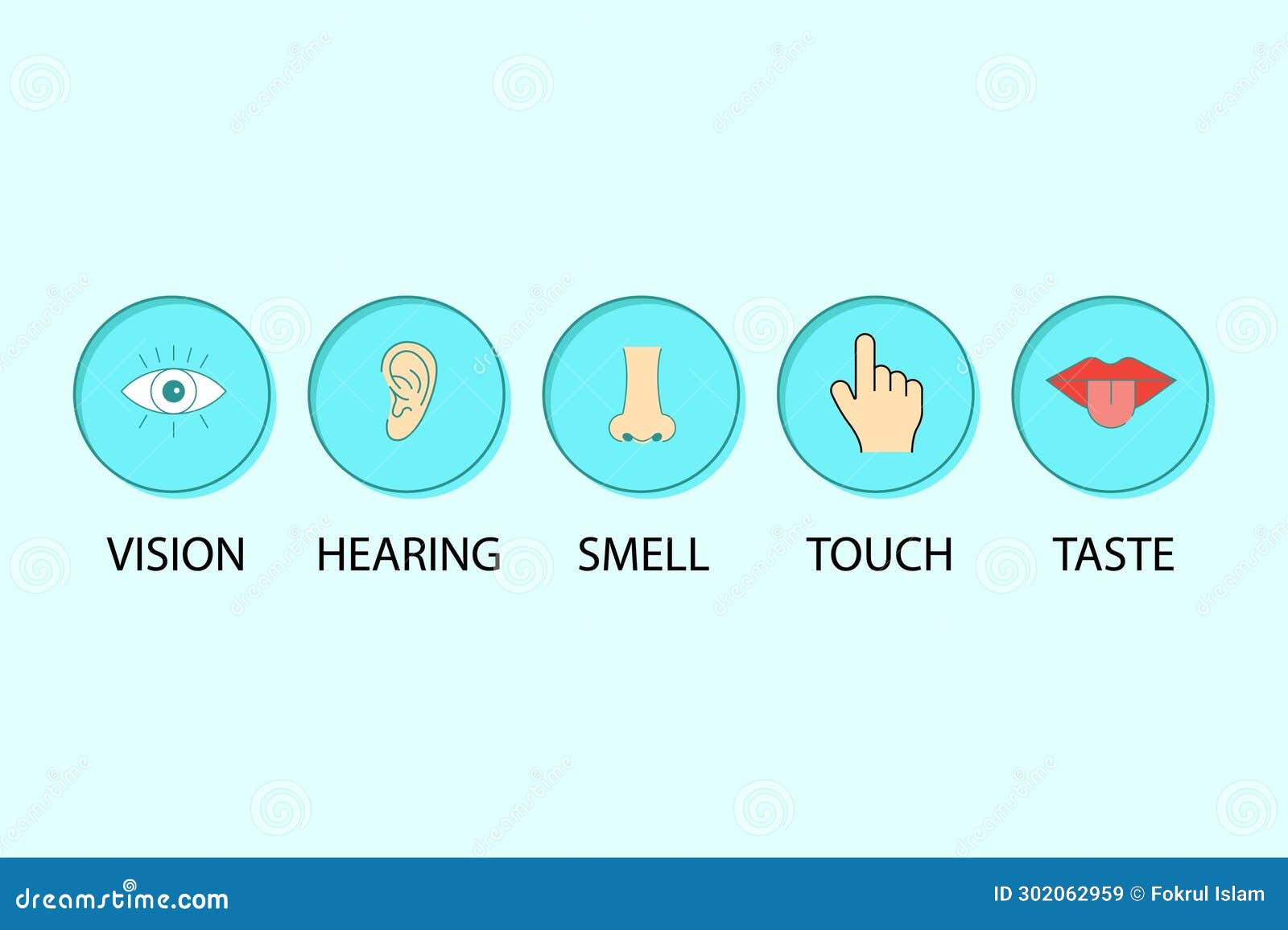 Five Human Senses Which are Vision, Hearing, Smell, Touch and Taste ...