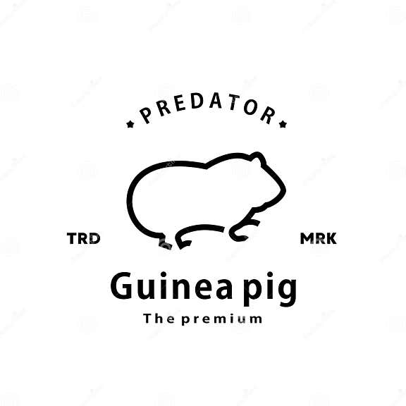 Vintage Retro Hipster Guinea Pig Logo Stock Vector - Illustration of ...