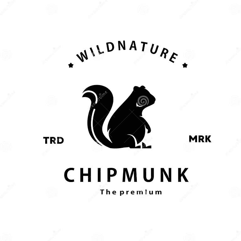 Vintage Retro Hipster Chipmunk Logo Stock Vector - Illustration of monoline, creative: 303739109