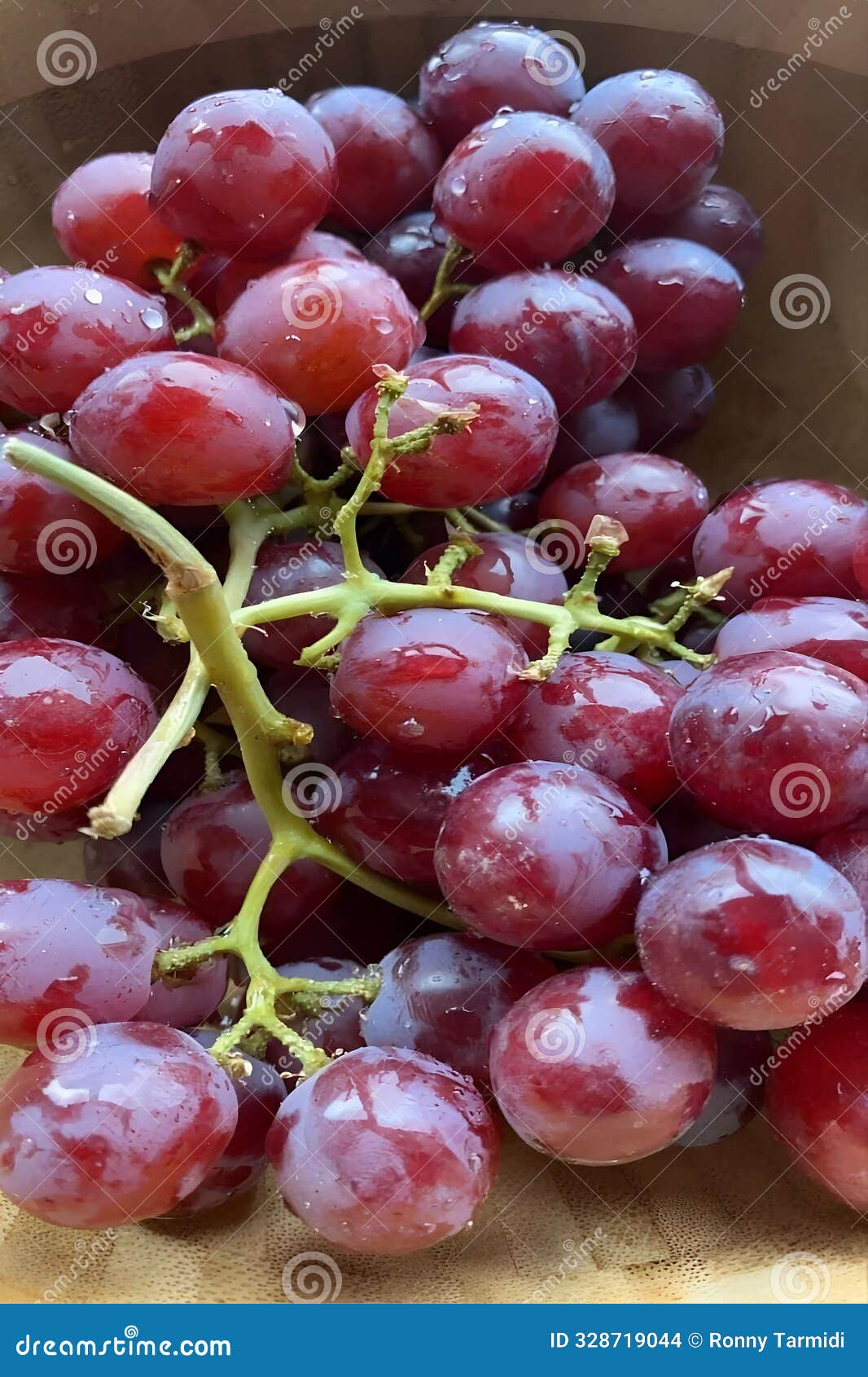 Picture of Very Fresh Grapes Stock Photo - Image of tree, fruit: 328719044