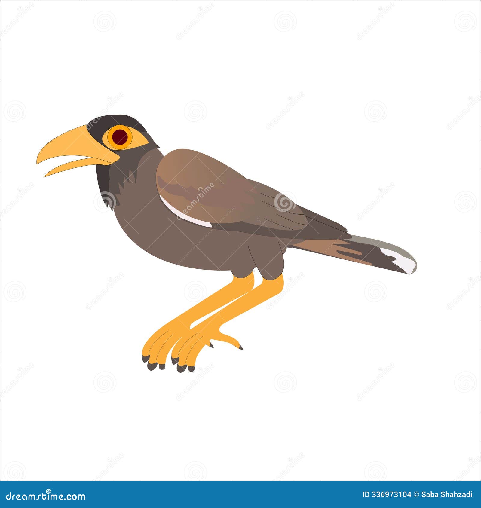 Cute Myna Bird Cartoon Flying Vector Illustration | CartoonDealer.com ...