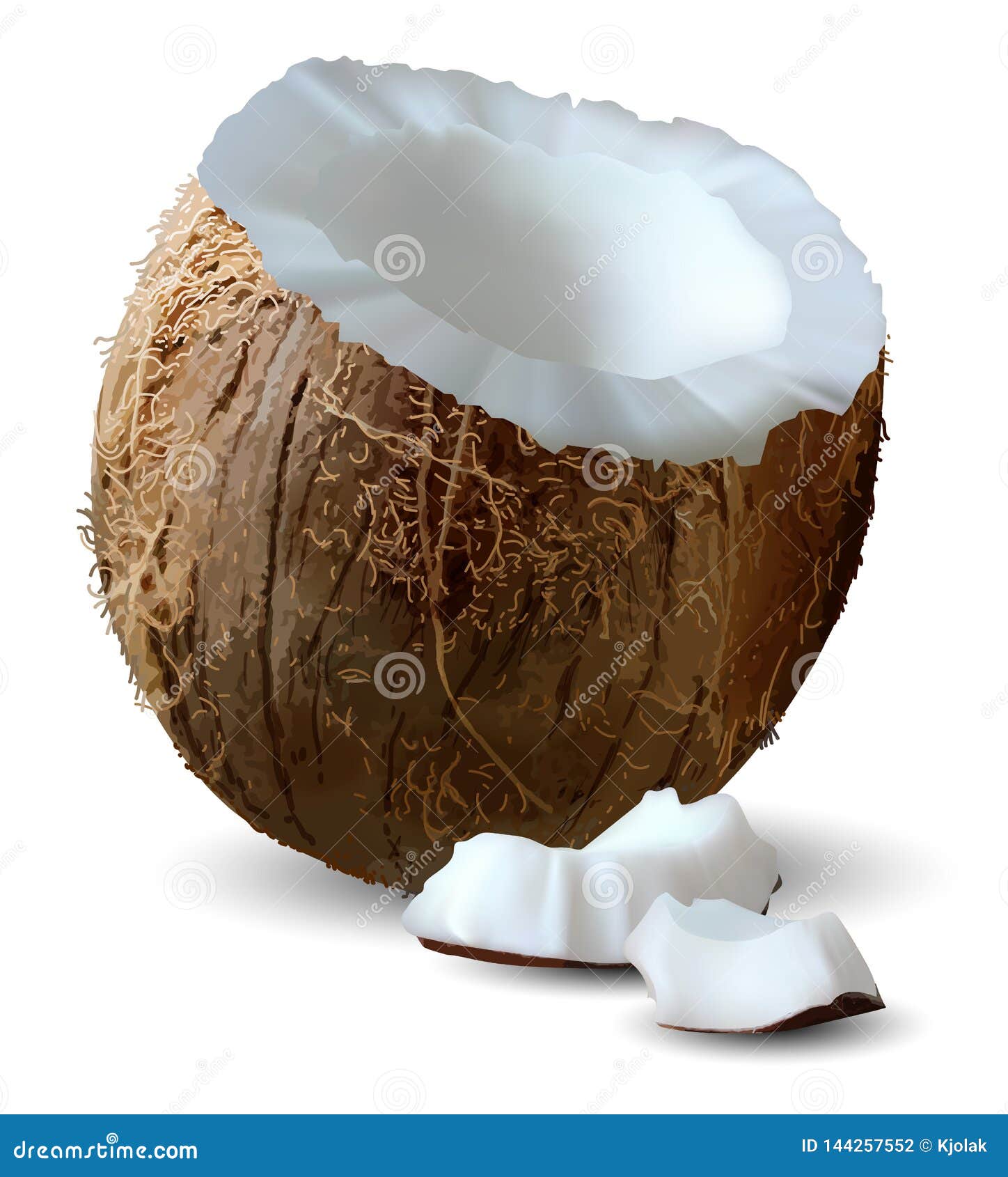 Cut Coconut and Several Pieces of it on a White Background. 3D Vector ...