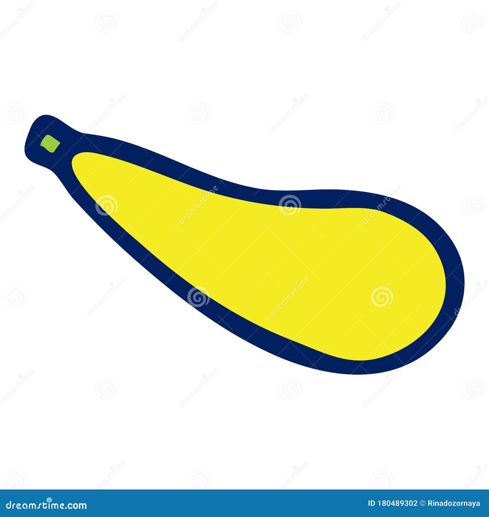 Colored Zucchini Doodle Sketch Illustration Stock Illustration ...