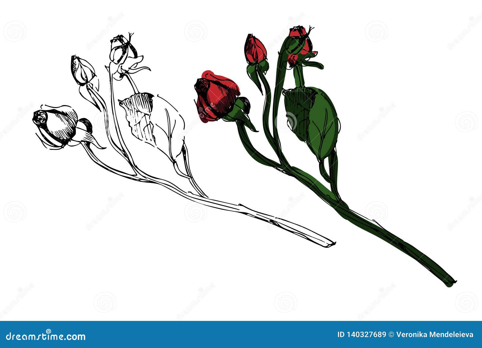 Hand Drawn Rose Vector Illustration. Small Roses Stock Vector ...