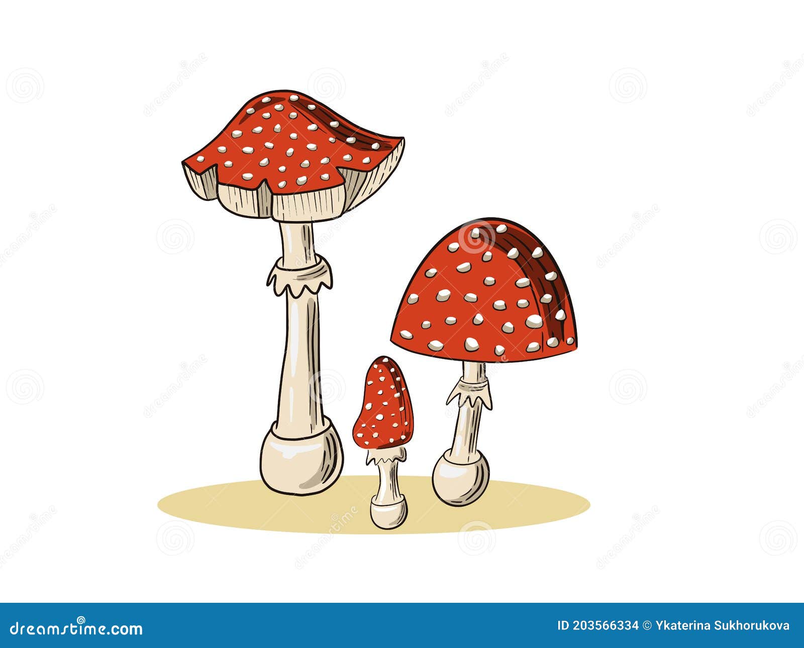 Fungi As Basic Fungal Cell And Multicellular Fungus Structure Outline ...