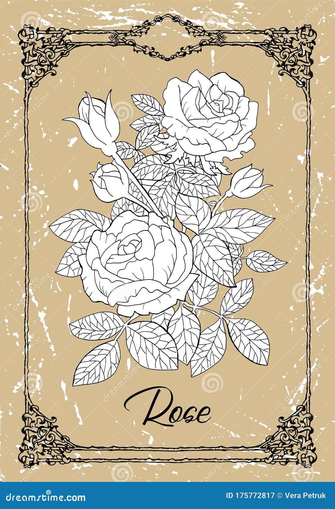 Vector Drawing of Rose Flower on Texture Background. Stock Vector ...