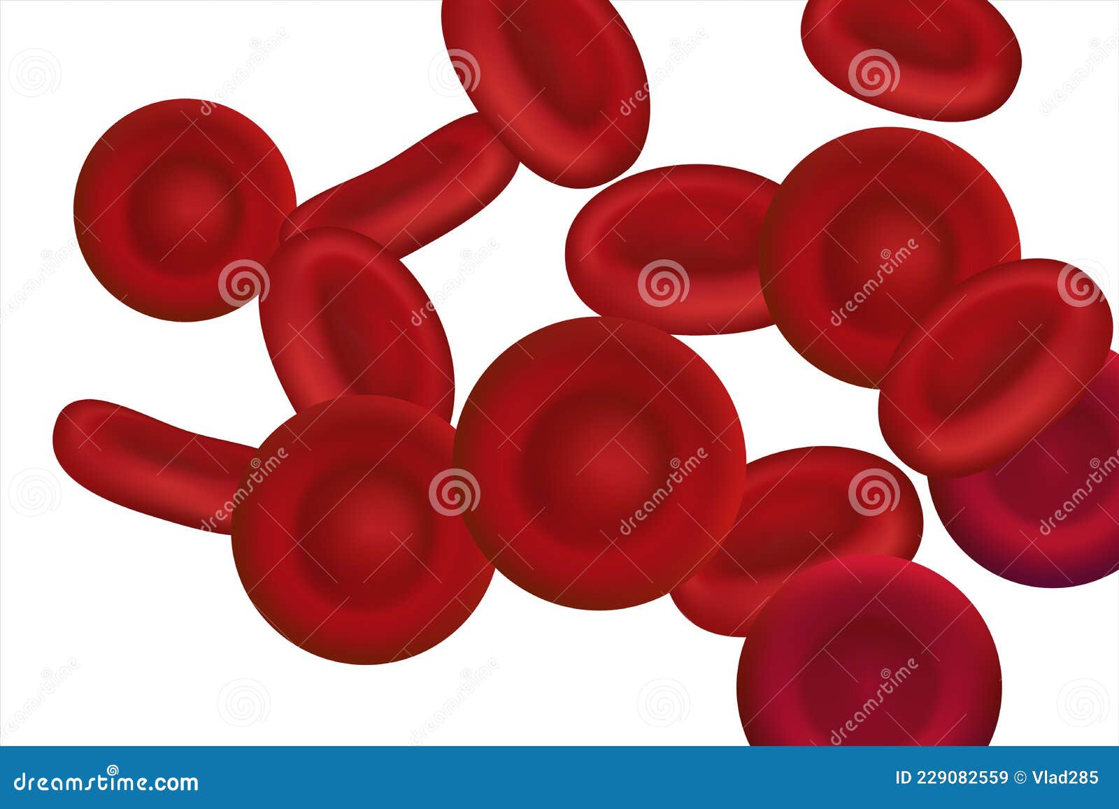 Human Blood Cell Under Microscope. Magnified Of Red Blood Cells In ...