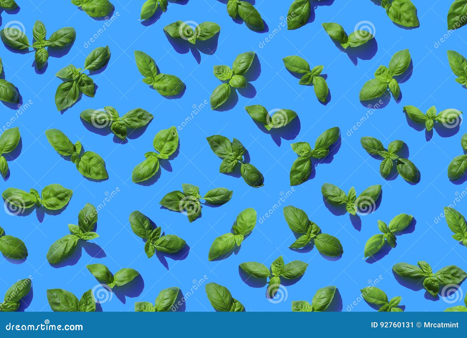 Basil on blue background stock image. Image of lifestyle - 92760131