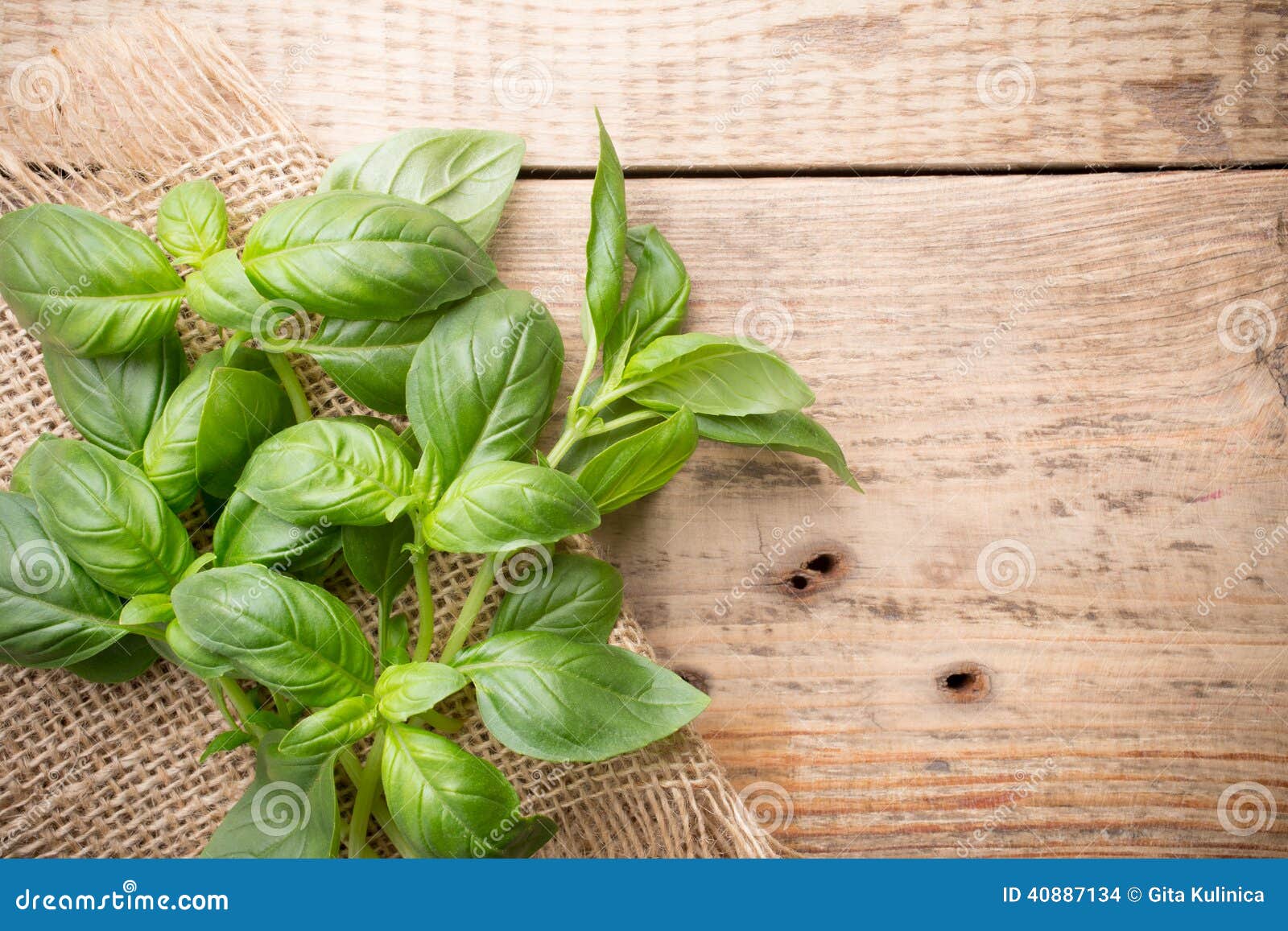 Basil. stock photo. Image of herbal, fresh, food, bundle - 40887134