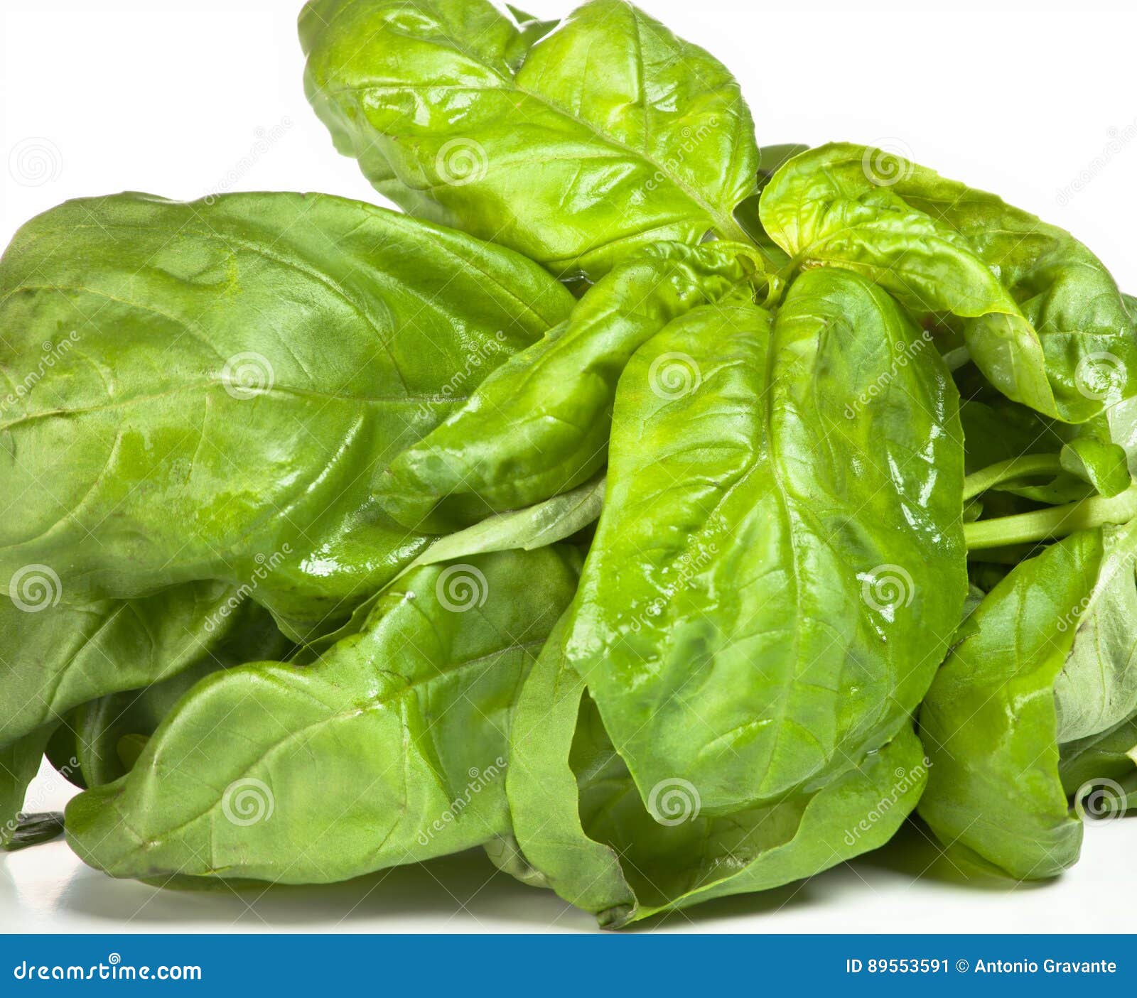 Basil bunch with paper stock image. Image of harvest - 89553591