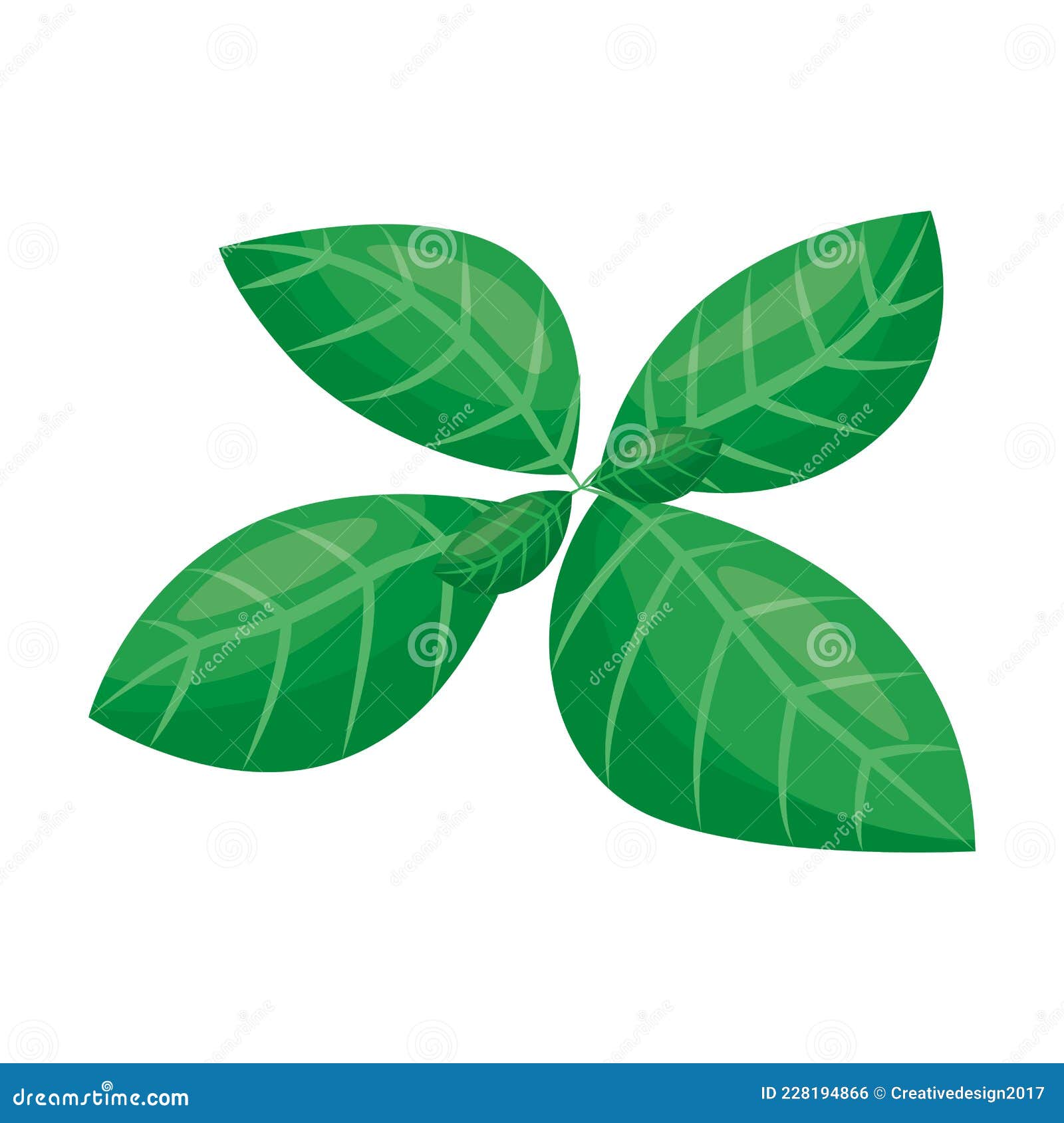 Basil vector drawing stock vector. Illustration of ingredient - 228194866