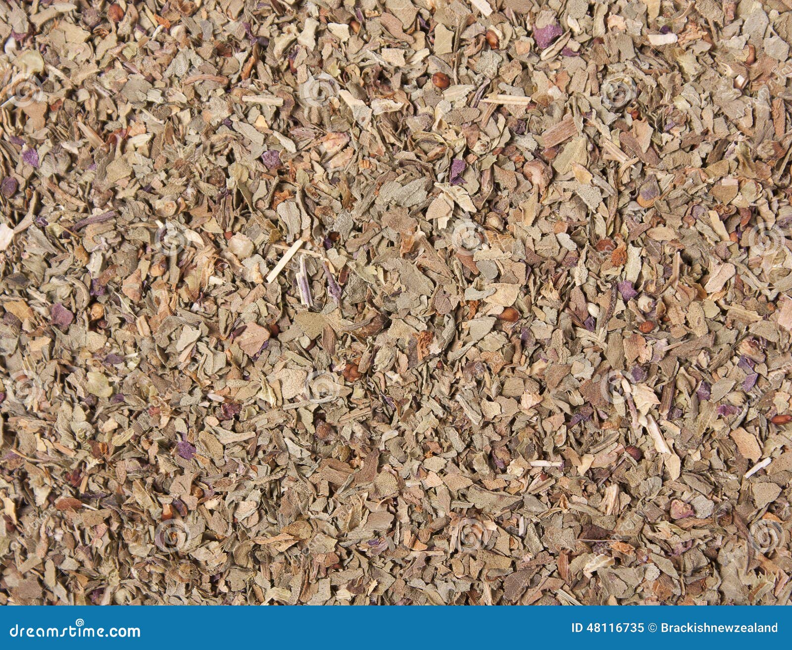 Basil Flakes stock image. Image of flakes, dried, healthy - 48116735