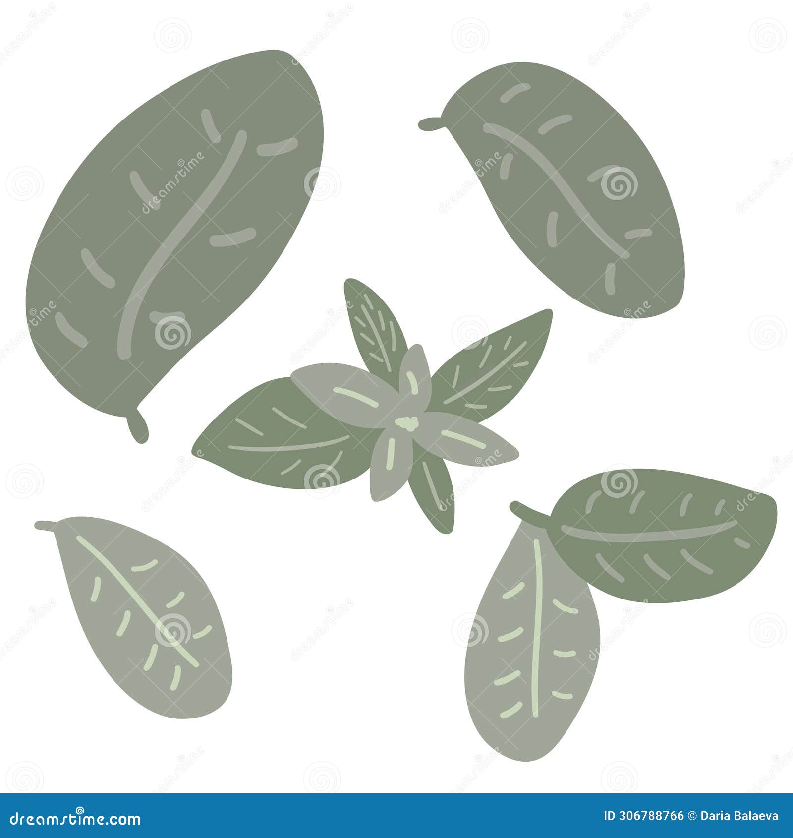 Basil Flat Design Set with Leaves Green Pastel Colour Stock Vector ...
