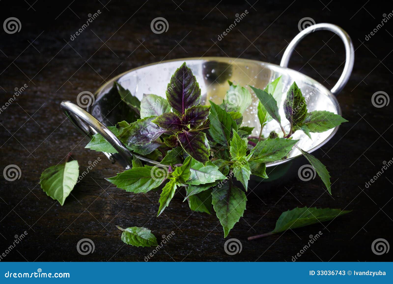 Basil stock image. Image of closeup, bunch, basil, leaves - 33036743