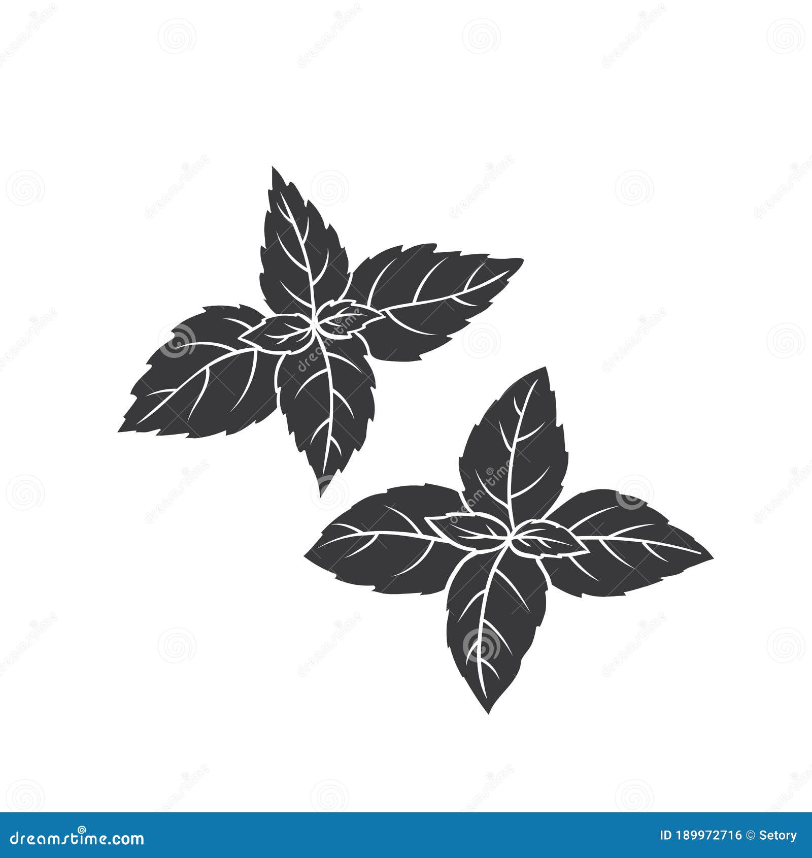 Basil glyph icon. stock vector. Illustration of organic - 189972716
