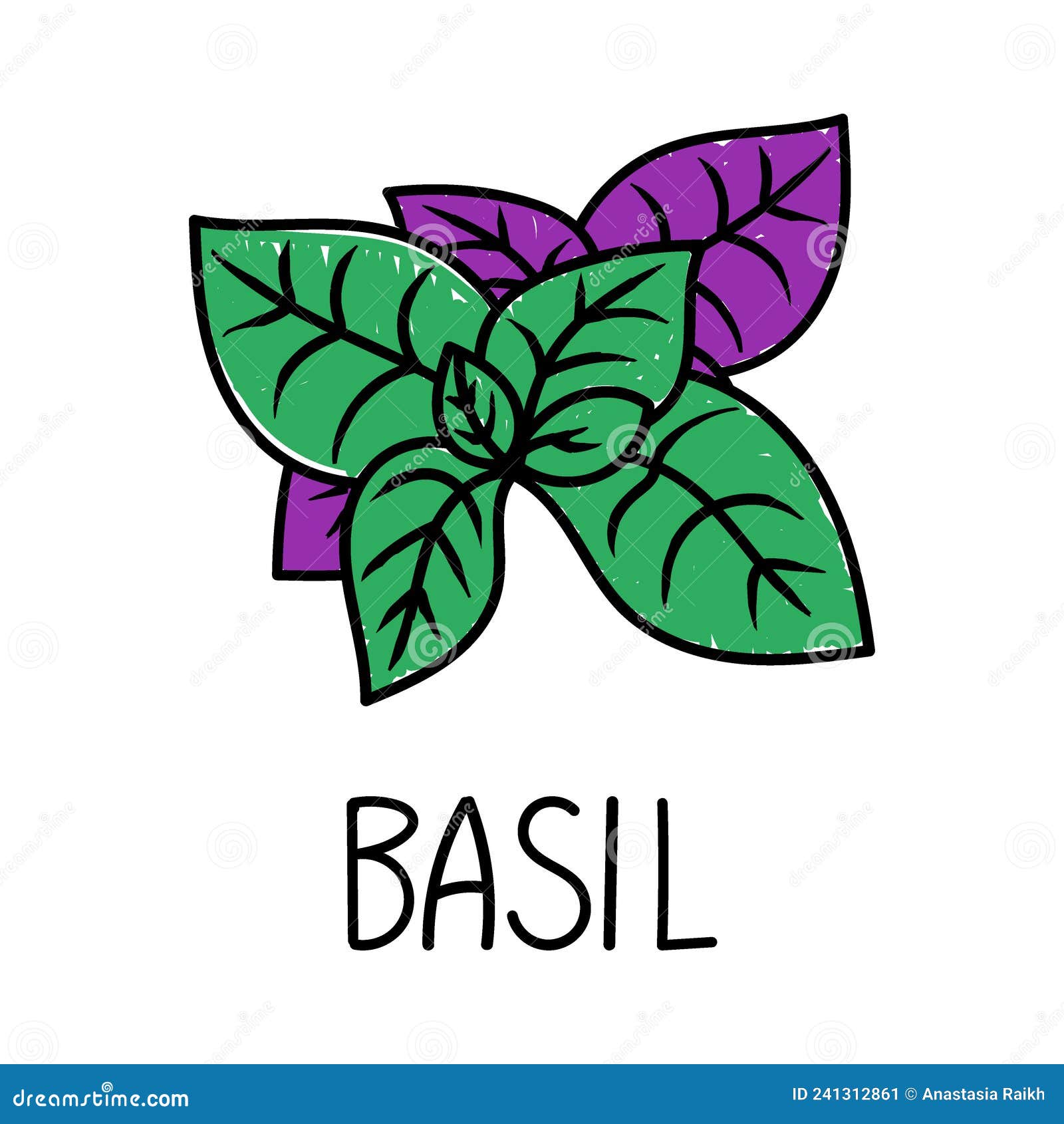 Basil, Hand-drawn Doodle-style Element. Logo and Emblem Packaging ...