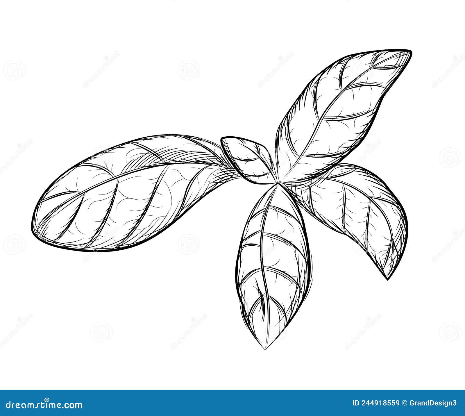 Basil. Hand Drawn Vector Illustration. Stock Vector - Illustration of ...